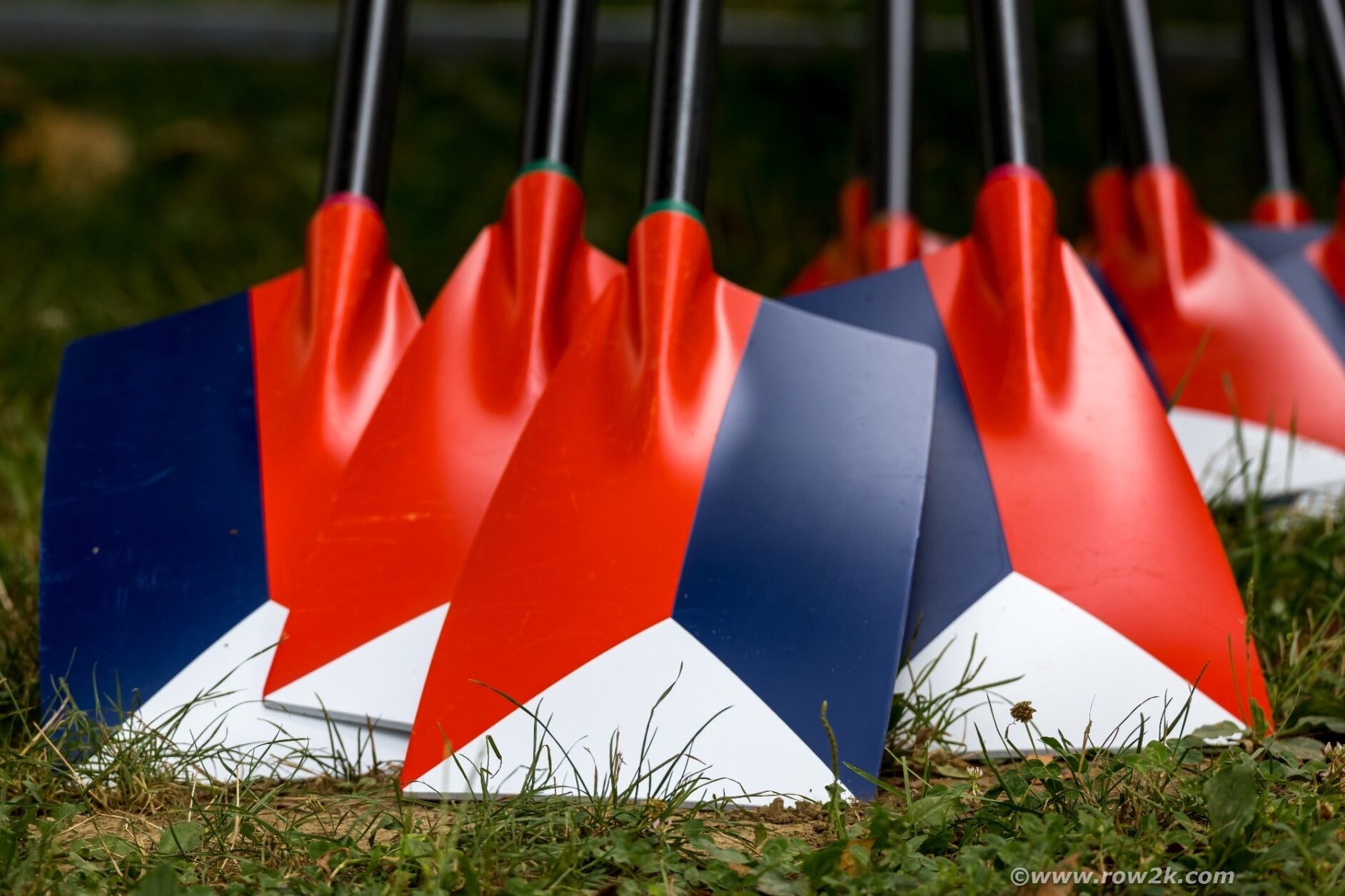 USRowing Announces 2023 Referee Annual Award Winners - USRowing