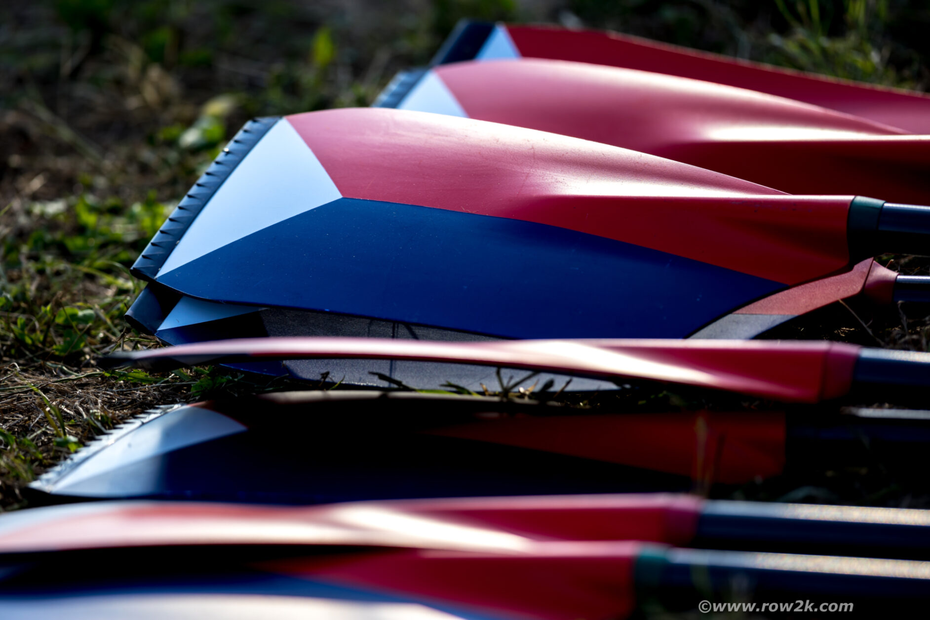 USRowing Announces 2025 Membership Program - USRowing